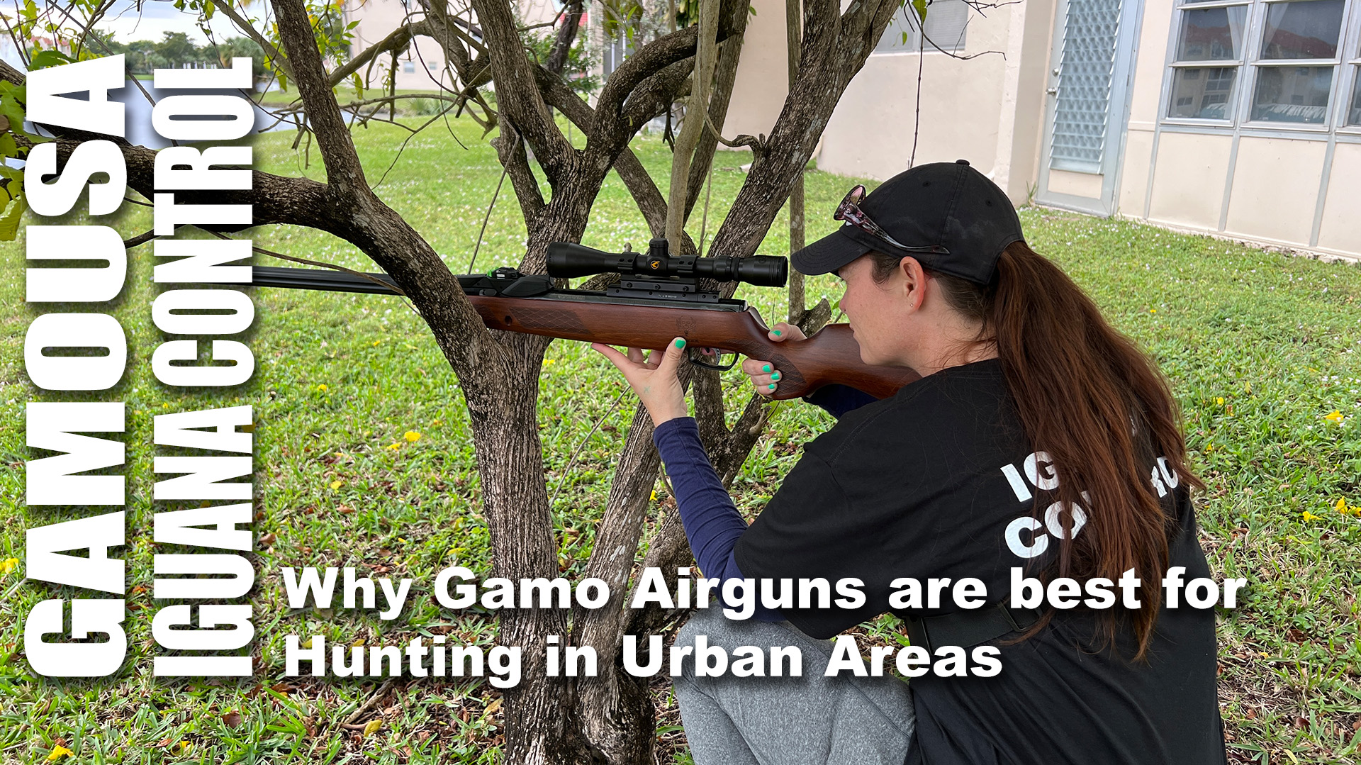 Why Gamo Airguns are best for Hunting in Urban Areas