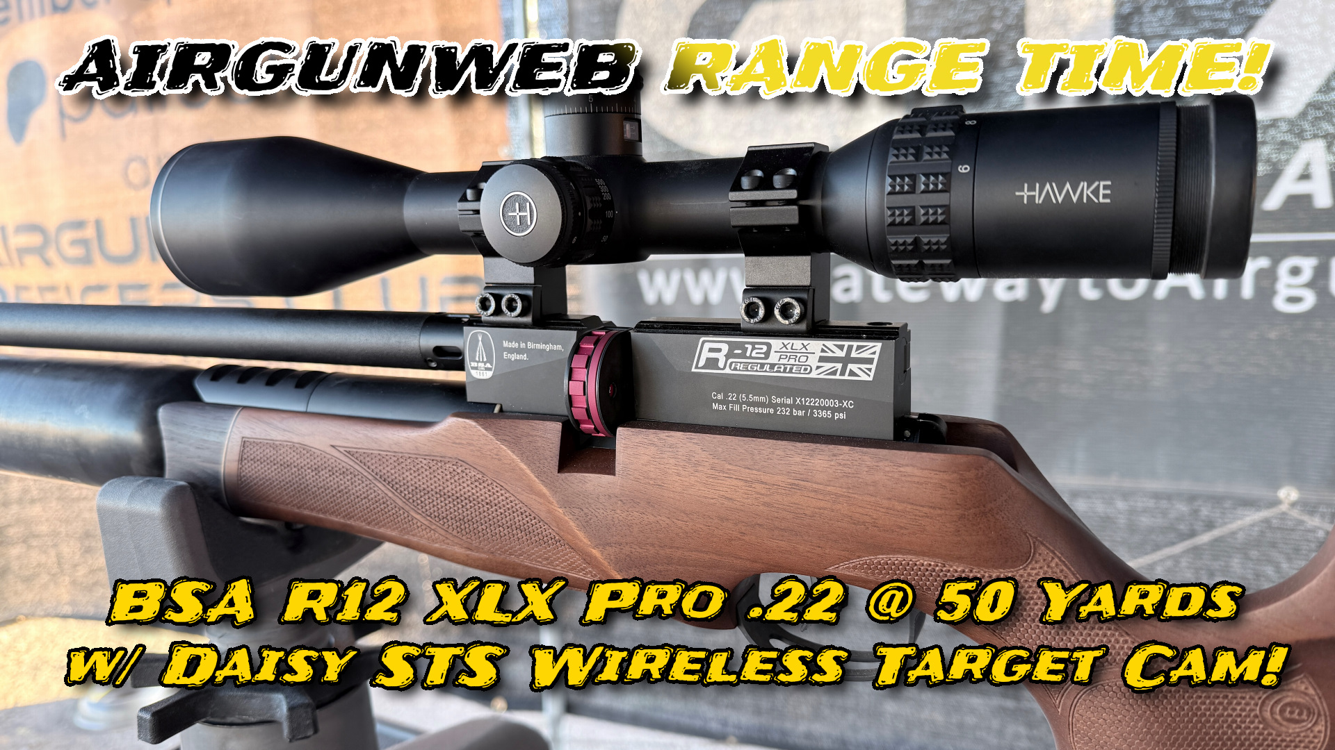 BSA R12 XLS Pro 50 Yard Pellet Tests with the Daisy STS (Smart Target ...