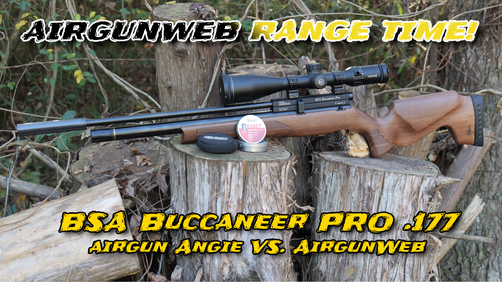 Airgun Angie and AGW Shootout with the BSA Buccaneer Pro .177! Will ...